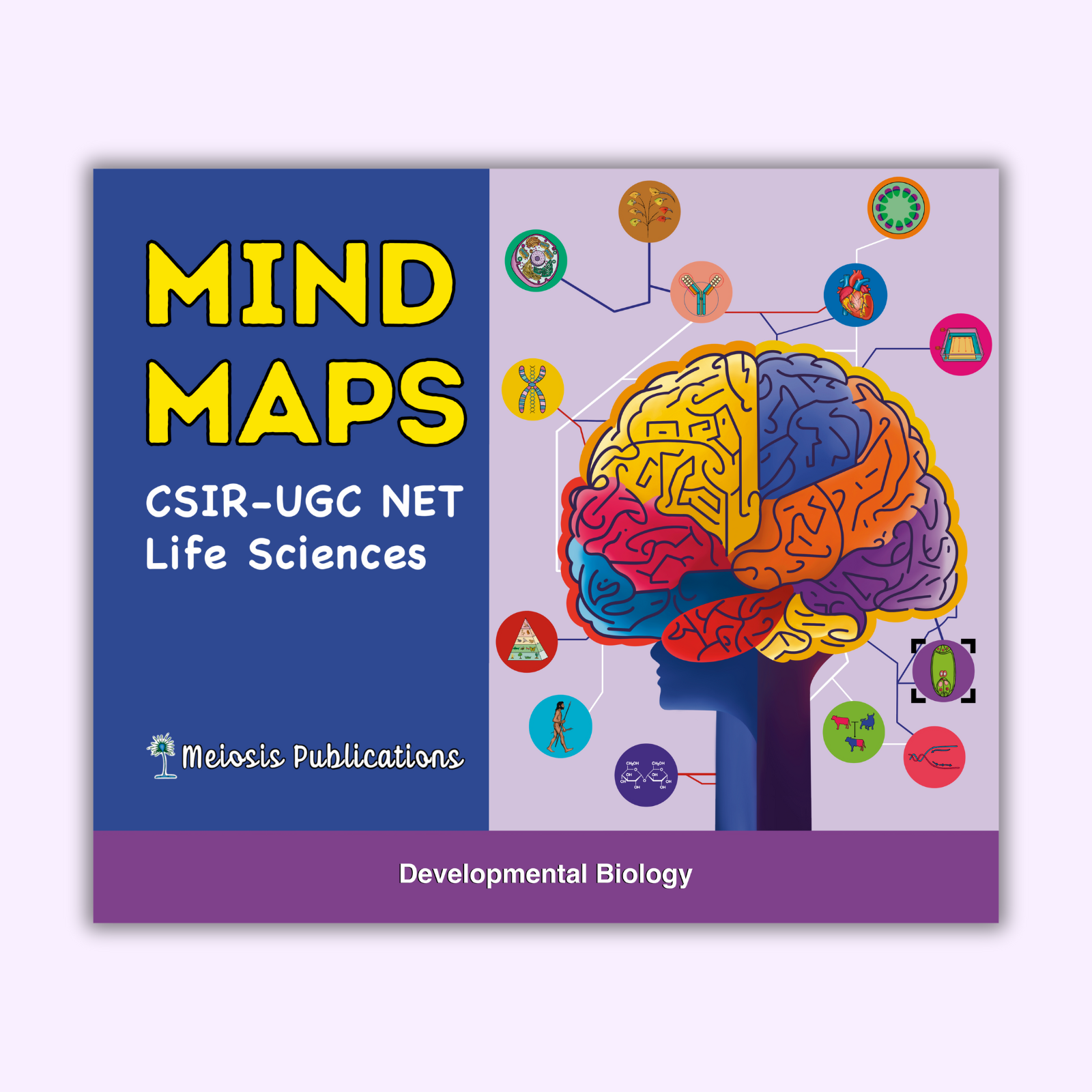 NET CSIR Mind Maps: Your Key to Exam Success!